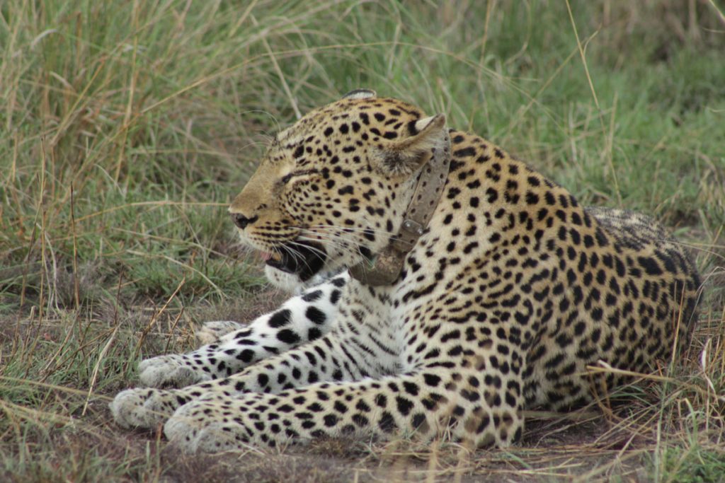 Tsavo National Parks - Kenya | Primate World Safaris